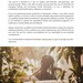 The Mindful Moments: Therapy & Anxiety Journal Worksheets, Mental ...