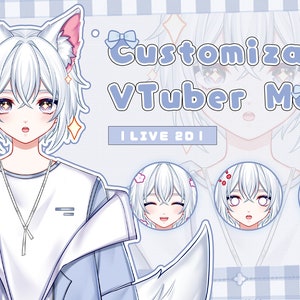 Custom LIVE2D Vtuber Model/vtuber Design/custom Vtuber Model/vtuber ...