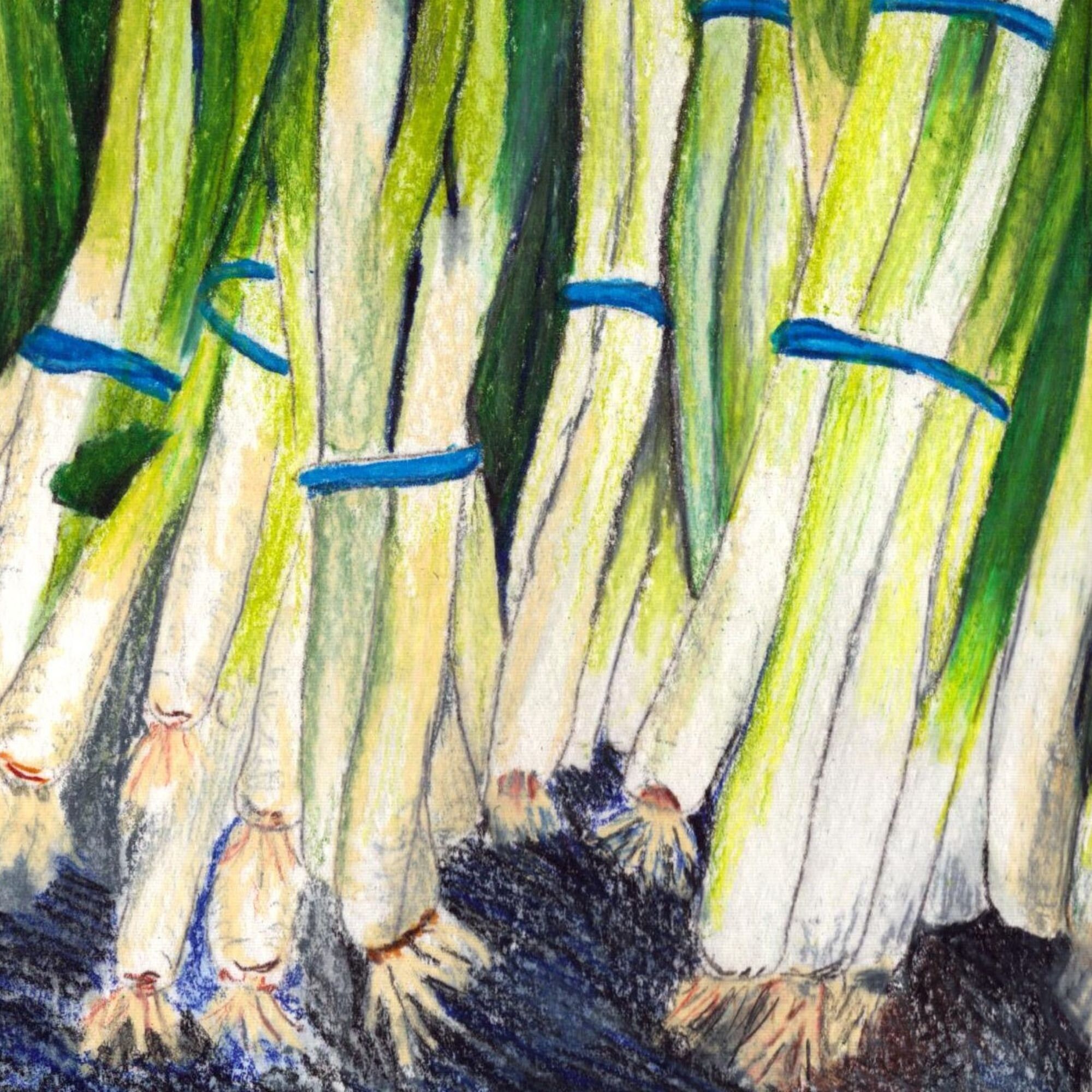 Colored Pencil, Realistic, Green Onions, Green Food, Kitchen, Grocery ...
