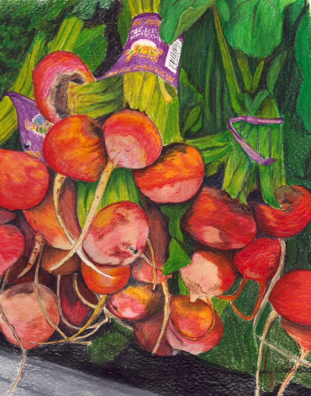 Colored Pencil, Realistic, Beets, Food, Kitchen, Grocery, Repetition - Etsy