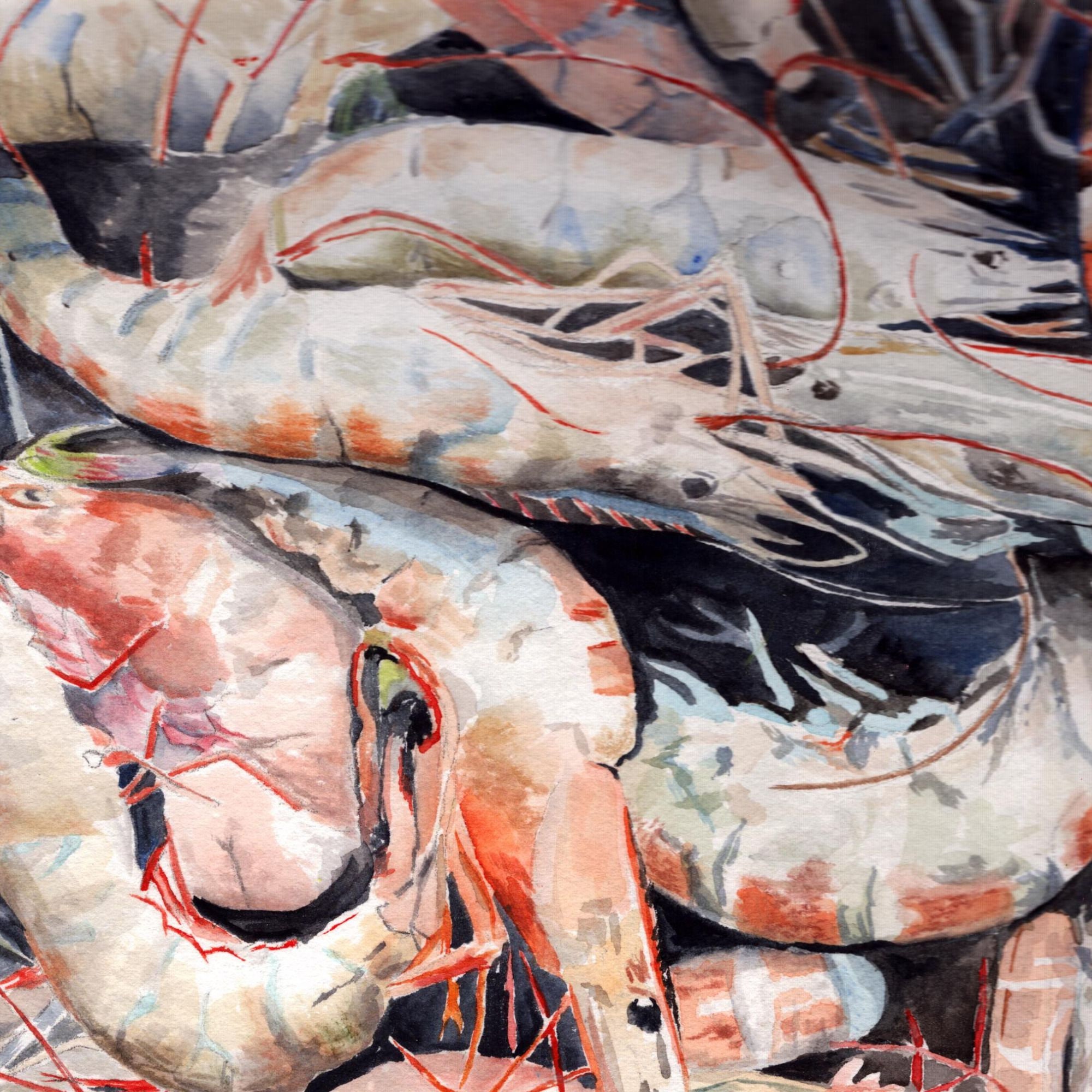 Watercolor, Instant Download, Printable Art, Realistic, Shrimp ...