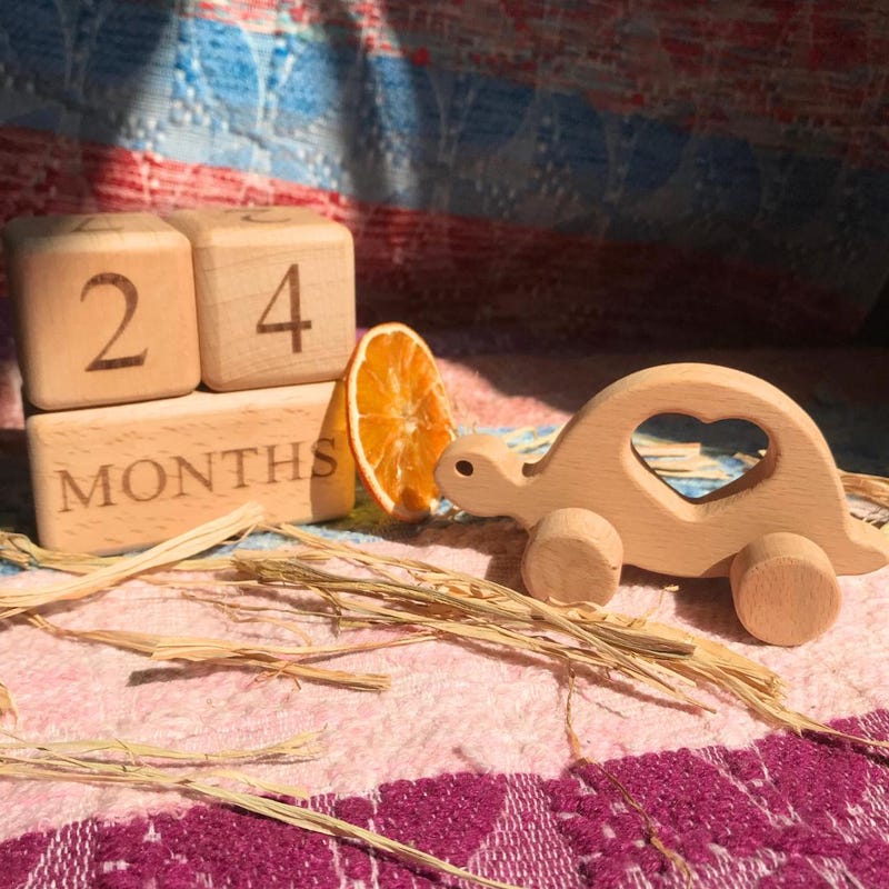 Turtle Pull Toy - Etsy