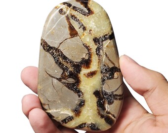 Septarian Slice Specimen, Polished Geode, Fossilized Calcite Stone ...