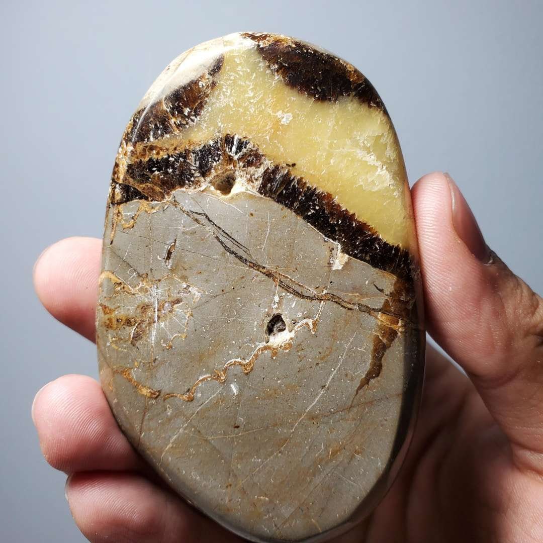 Septarian Slice Specimen, Polished Geode, Home Decor, Fossilized ...