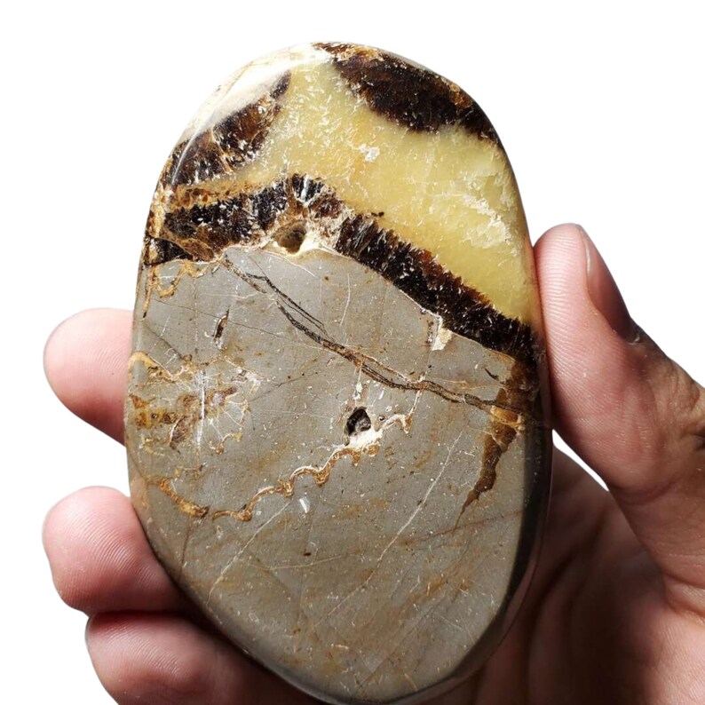 Septarian Slice Specimen, Polished Geode, Fossilized Calcite Stone ...