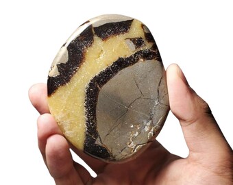 Septarian Slice Specimen, Polished Geode, Fossilized Calcite Stone ...