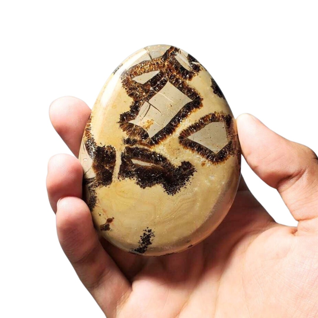 Septarian Slice Specimen, Polished Geode, Fossilized Calcite Stone ...