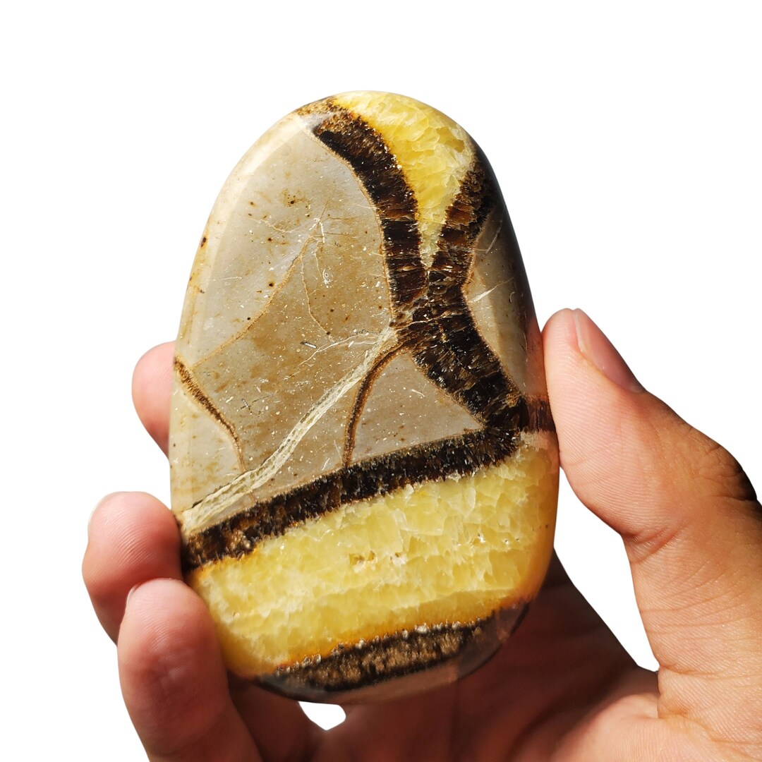 Septarian Slice Specimen, Polished Geode, Home Decor, Fossilized ...