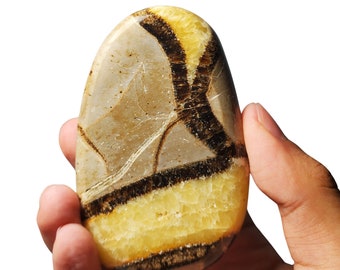 Septarian Slice Specimen, Polished Geode, Fossilized Calcite Stone ...