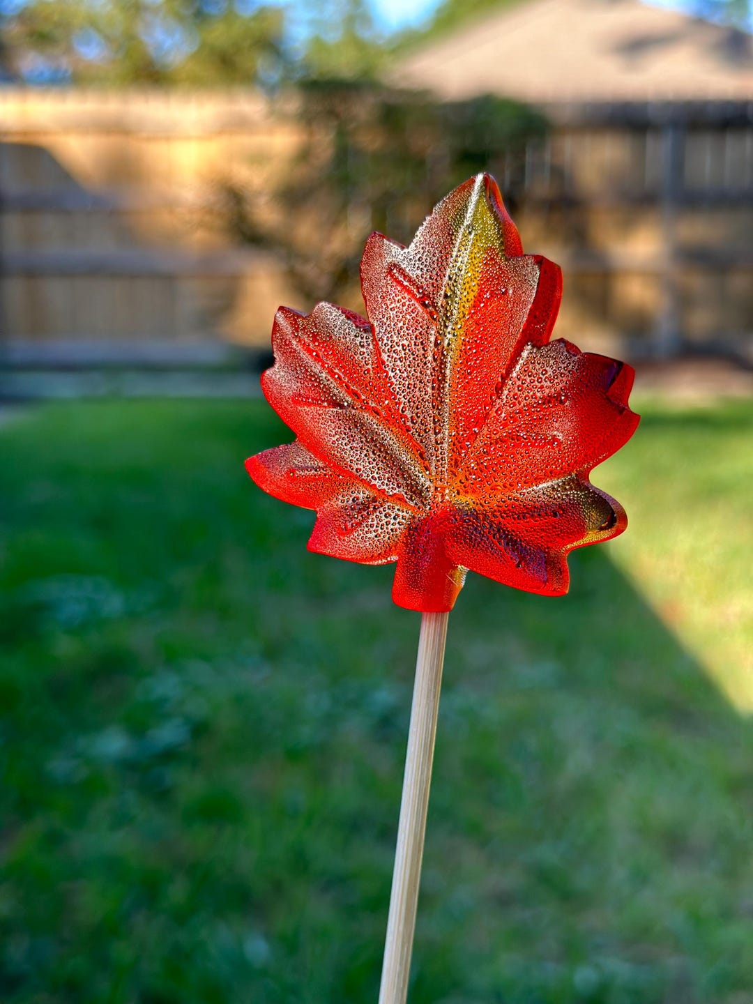 15 Autumn Leaves Lollipops, Pumpkin Lollipop, Halloween Lollipop ...