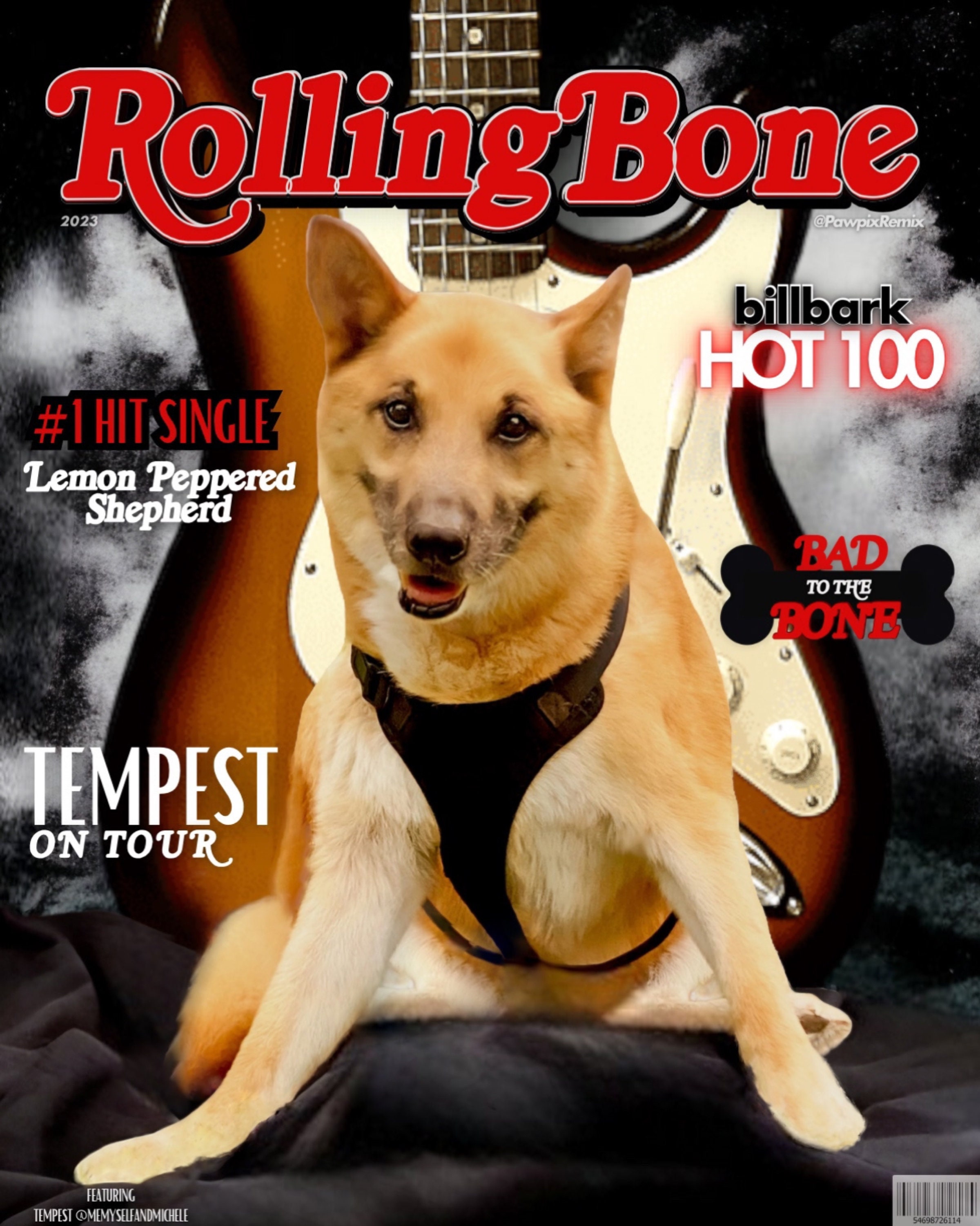 Digital File Personalized Pet Portraits Magazine Covers Custom Pet Art ...