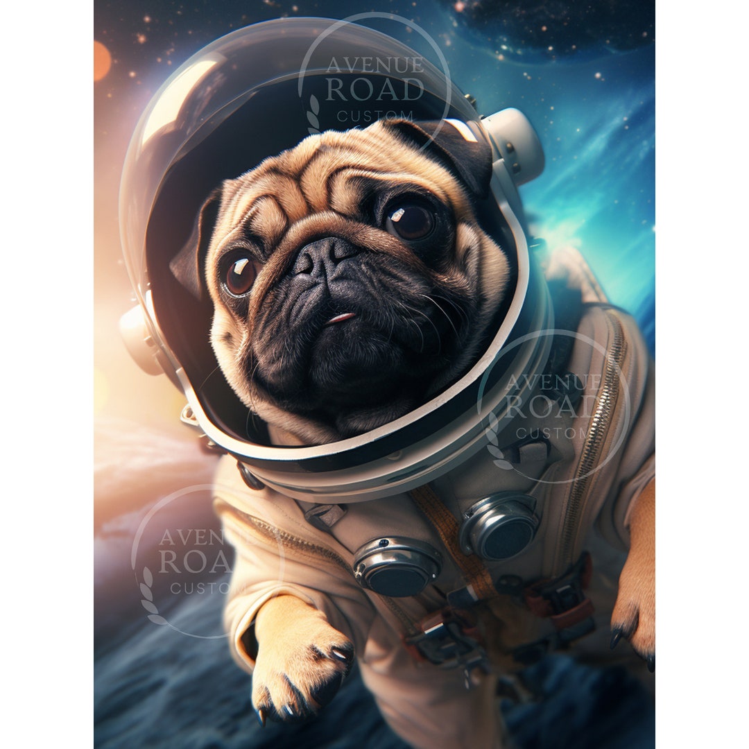 Pug Dog, Pug Astronaut, Space Dog, Cute Pug, Pug Mom, Pug Dad, Fun Gift ...