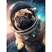 Pug Dog, Pug Astronaut, Space Dog, Cute Pug, Pug Mom, Pug Dad, Fun Gift ...