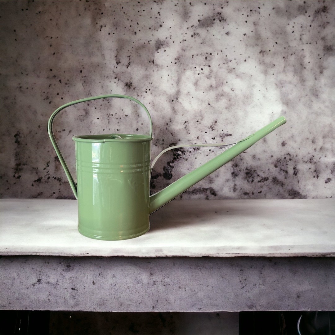 1.5 L Watering Can - Modern Style Watering Pot for Indoor Plants or ...
