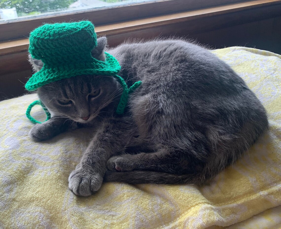 Bucket/top Hat for Cats Crochet PDF Pattern - Etsy