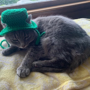 Bucket/top Hat for Cats Crochet PDF Pattern - Etsy