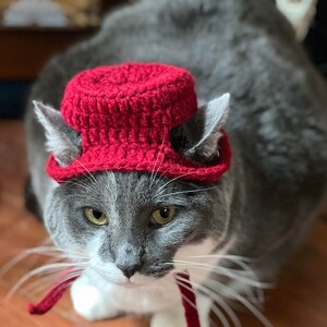 Bucket/top Hat for Cats Crochet PDF Pattern - Etsy