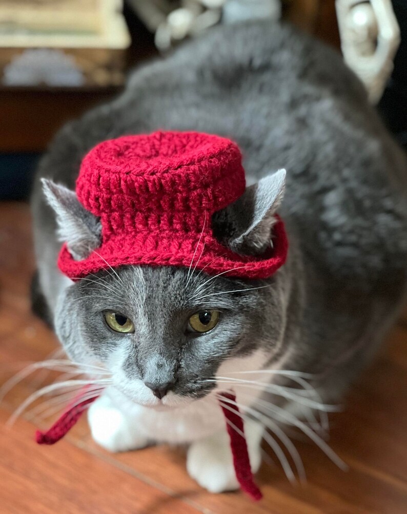 Bucket/top Hat for Cats Crochet PDF Pattern - Etsy