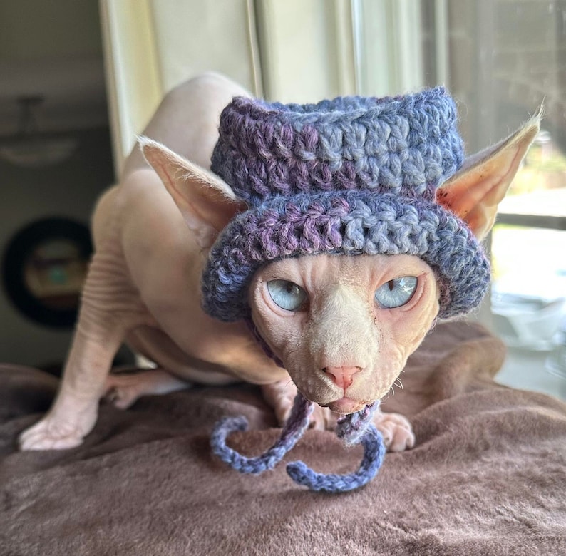 Bucket/top Hat for Cats Crochet PDF Pattern - Etsy