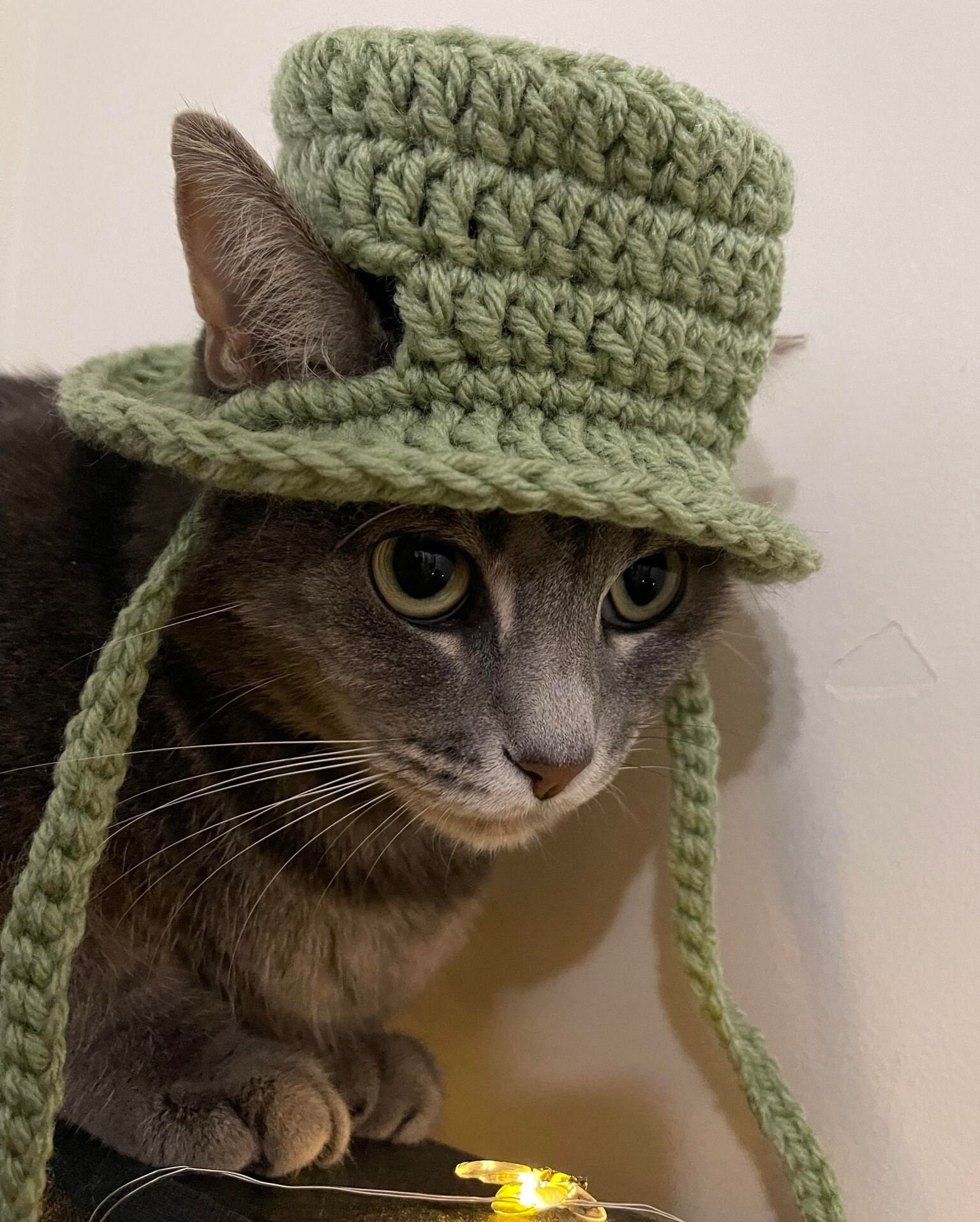 Bucket/top Hat for Cats Crochet PDF Pattern - Etsy