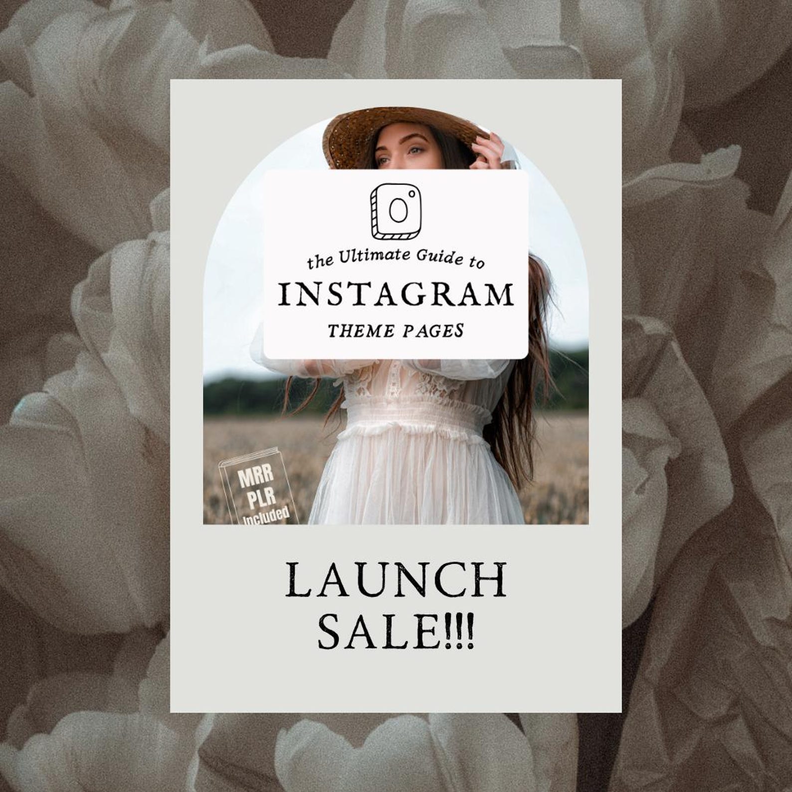 Instagram Theme Page Guide With MRR PLR | Faceless Marketing Guide ...