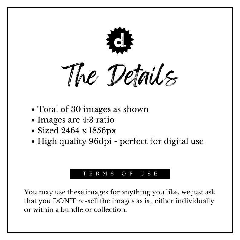 Feminine STYLED DECOR Stock Image BUNDLE, Lifestyle Stock Images ...