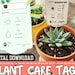 Printable Plant Care Tags for Plant Lovers, 6 Cute Designs, Fillable ...