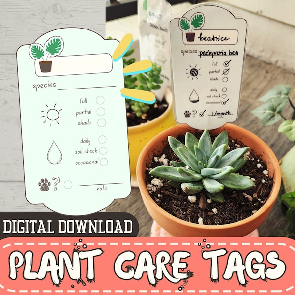 Plant Name Tags - Etsy