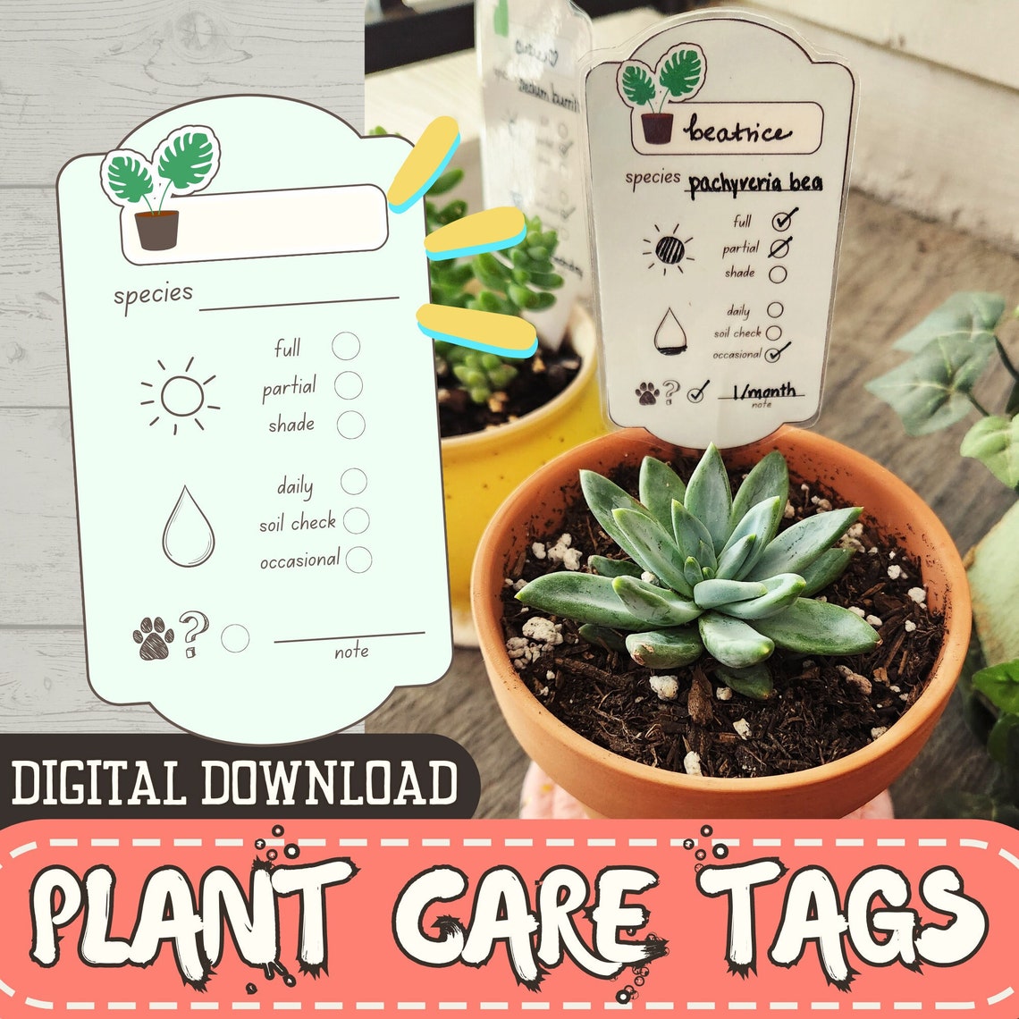 Printable Plant Care Tags for Plant Lovers, 6 Cute Designs, Fillable ...