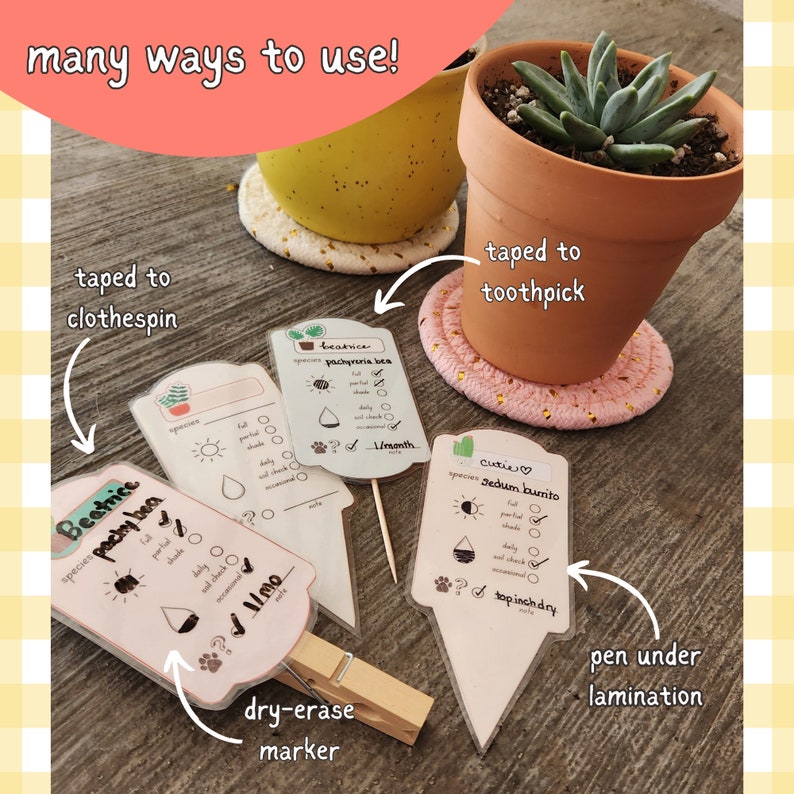 Printable Plant Care Tags for Plant Lovers, 6 Cute Designs, Fillable ...