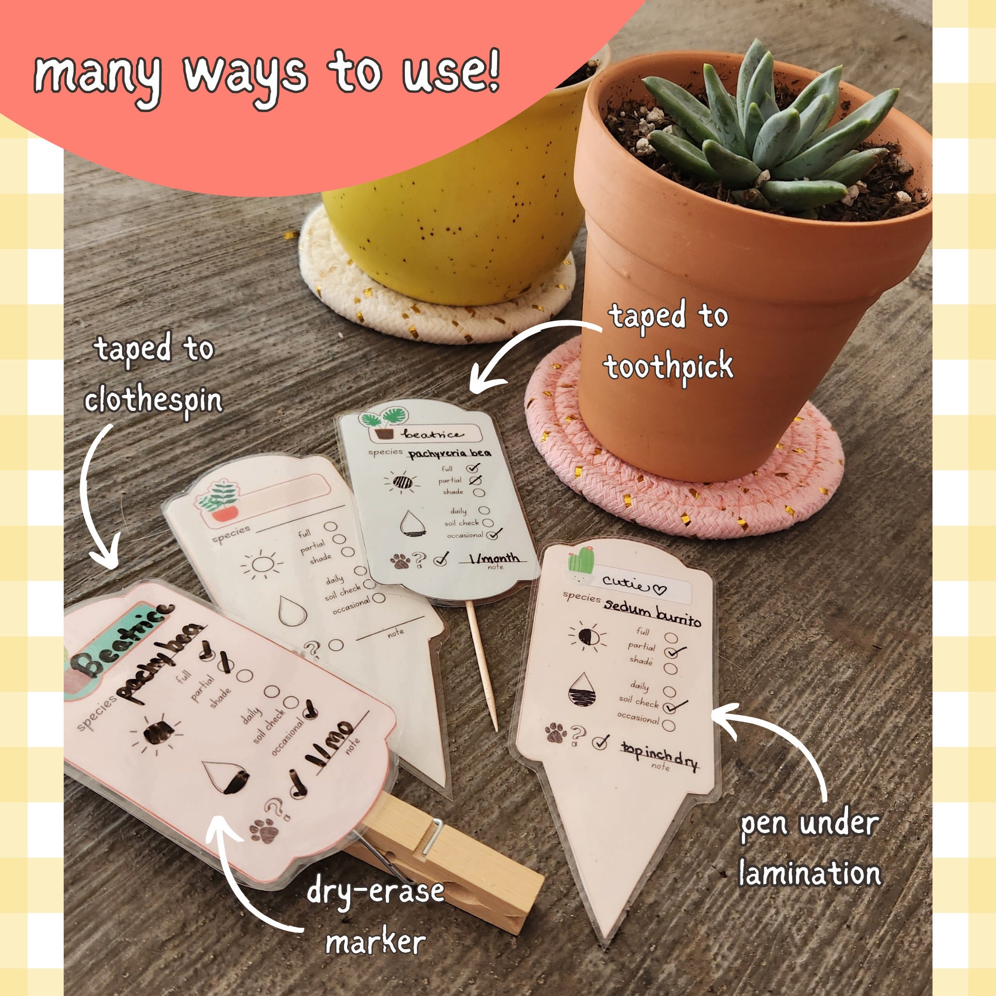 Printable Plant Care Tags for Plant Lovers, 6 Cute Designs, Fillable ...