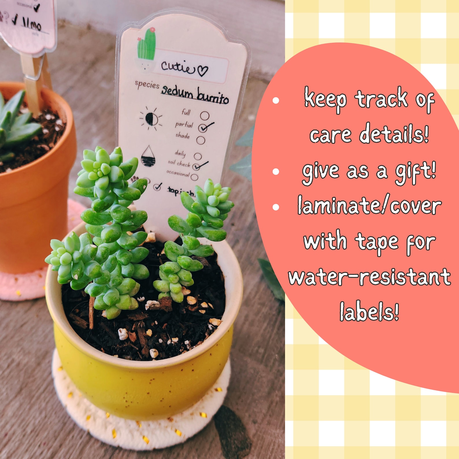 Printable Plant Care Tags for Plant Lovers, 6 Cute Designs, Fillable ...