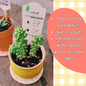 Printable Plant Care Tags for Plant Lovers, 6 Cute Designs, Fillable ...