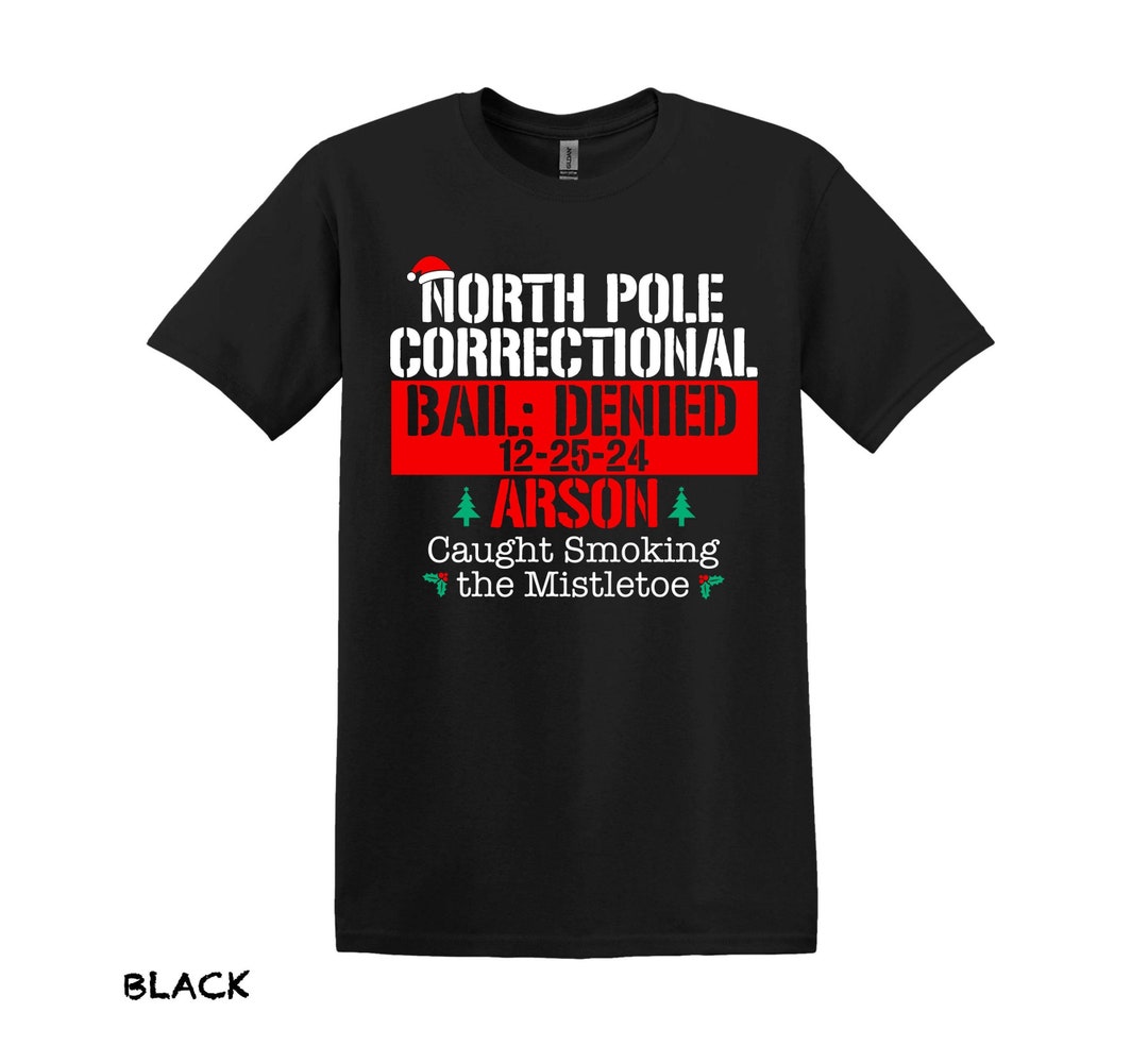 Funny Family Christmas Shirt, North Pole Correctional Arson Tee - Etsy