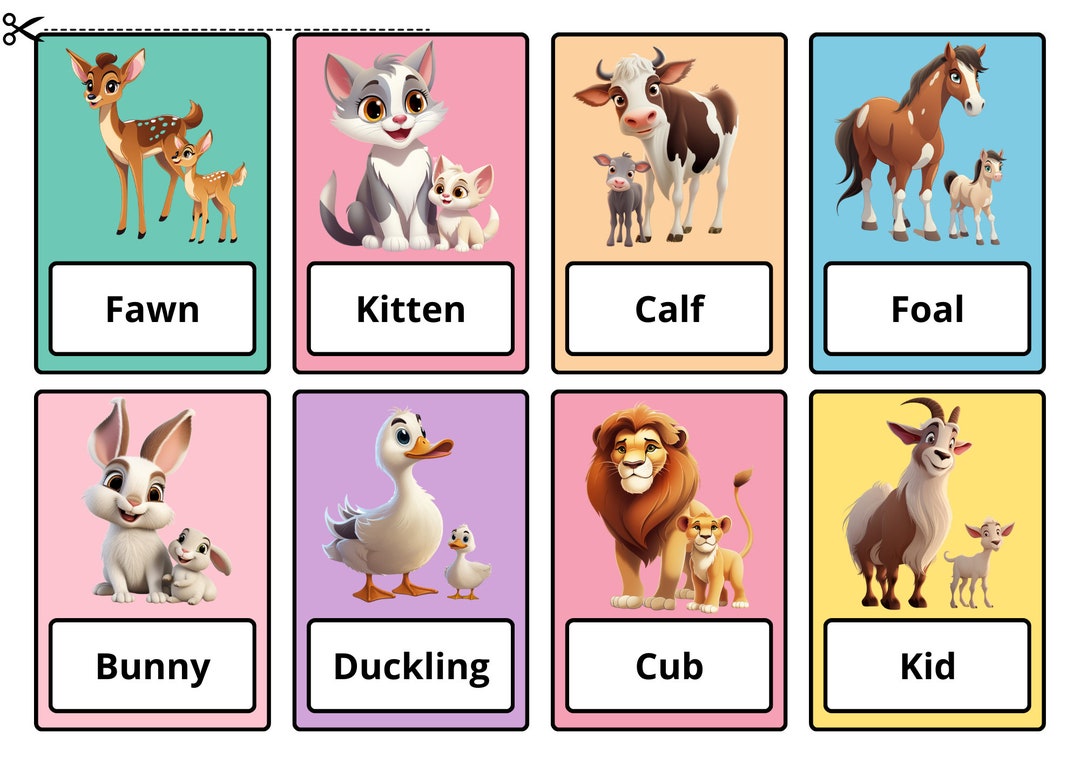 Baby Animals Flash Cards - Set of 16 Printable Animal Flash Cards + 13 ...