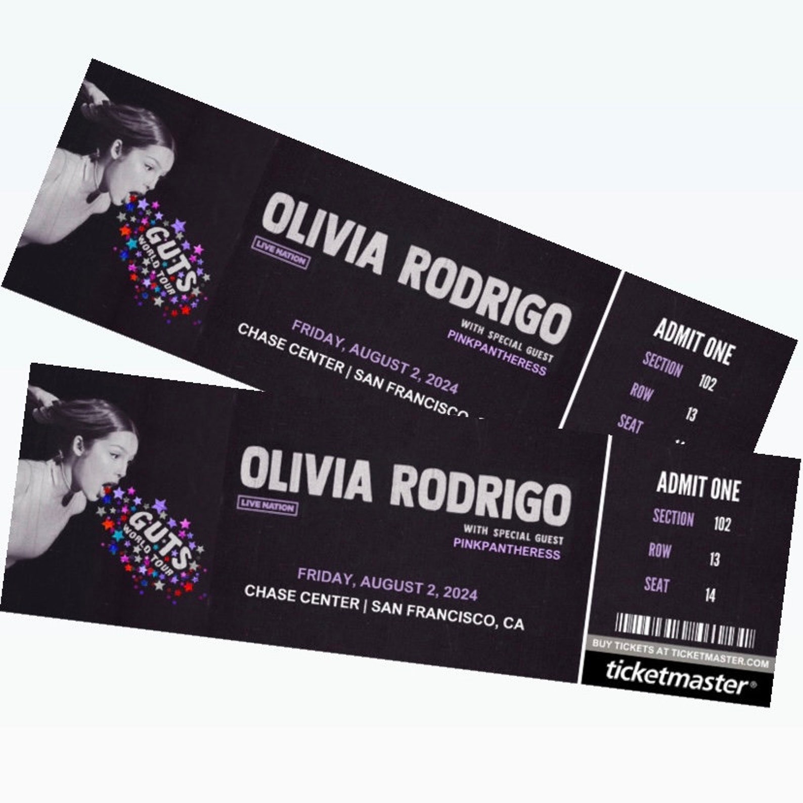 Printable Guts Tour Custom Ticket - Etsy