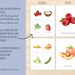 First Foods Flash Cards | Printable Flash Cards | Preschool Cards ...