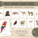 Wild Animal Flash Cards | Printable Flash Cards | Preschool Cards ...