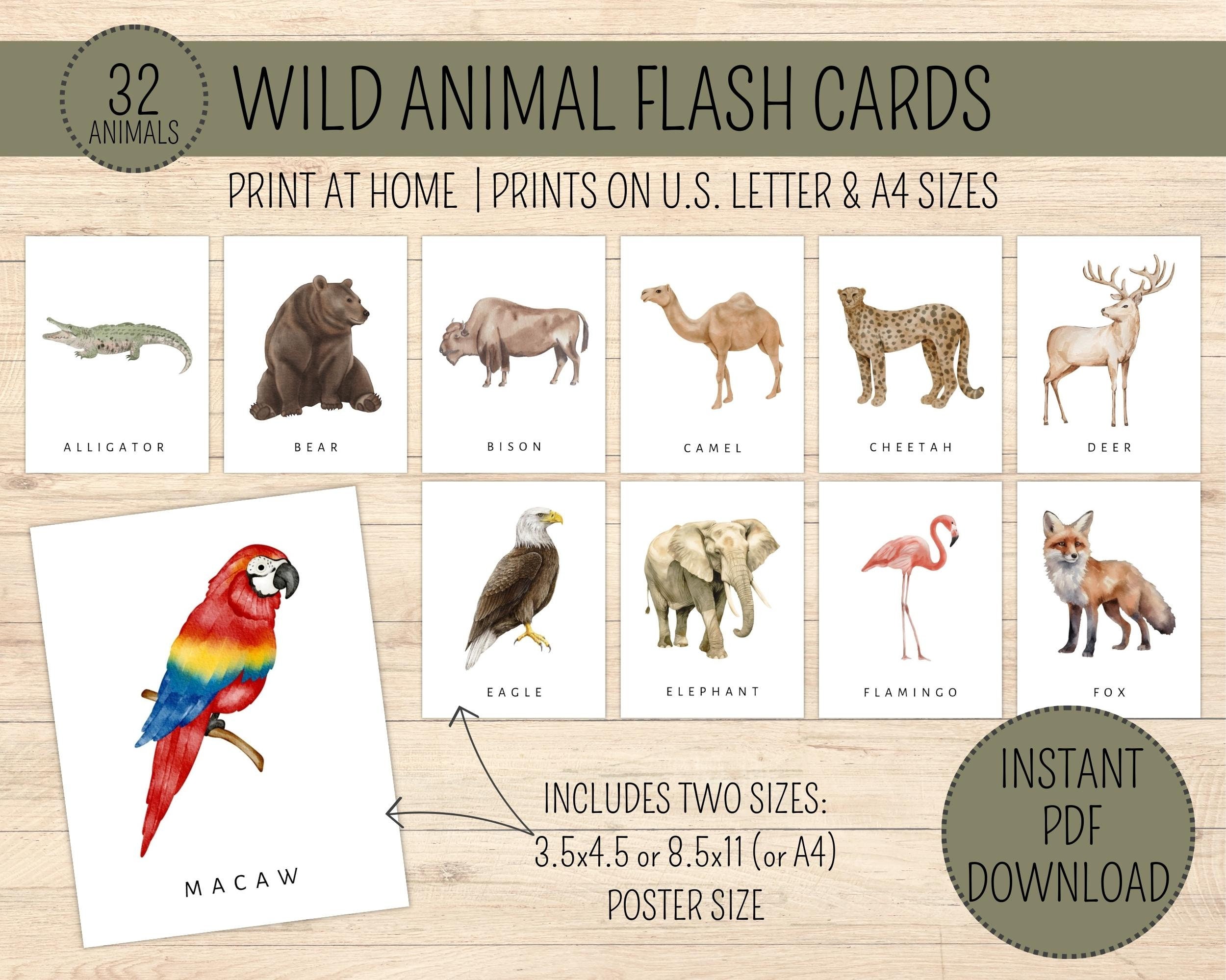Wild Animal Flash Cards | Printable Flash Cards | Preschool Cards ...