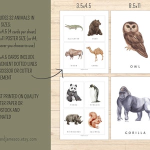 Wild Animal Flash Cards | Printable Flash Cards | Preschool Cards ...