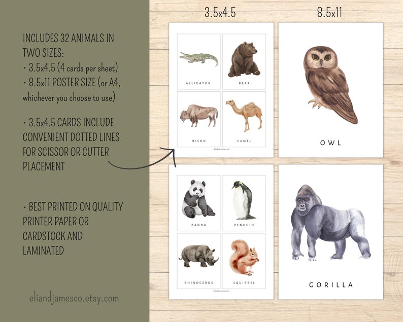 Wild Animal Flash Cards | Printable Flash Cards | Preschool Cards ...
