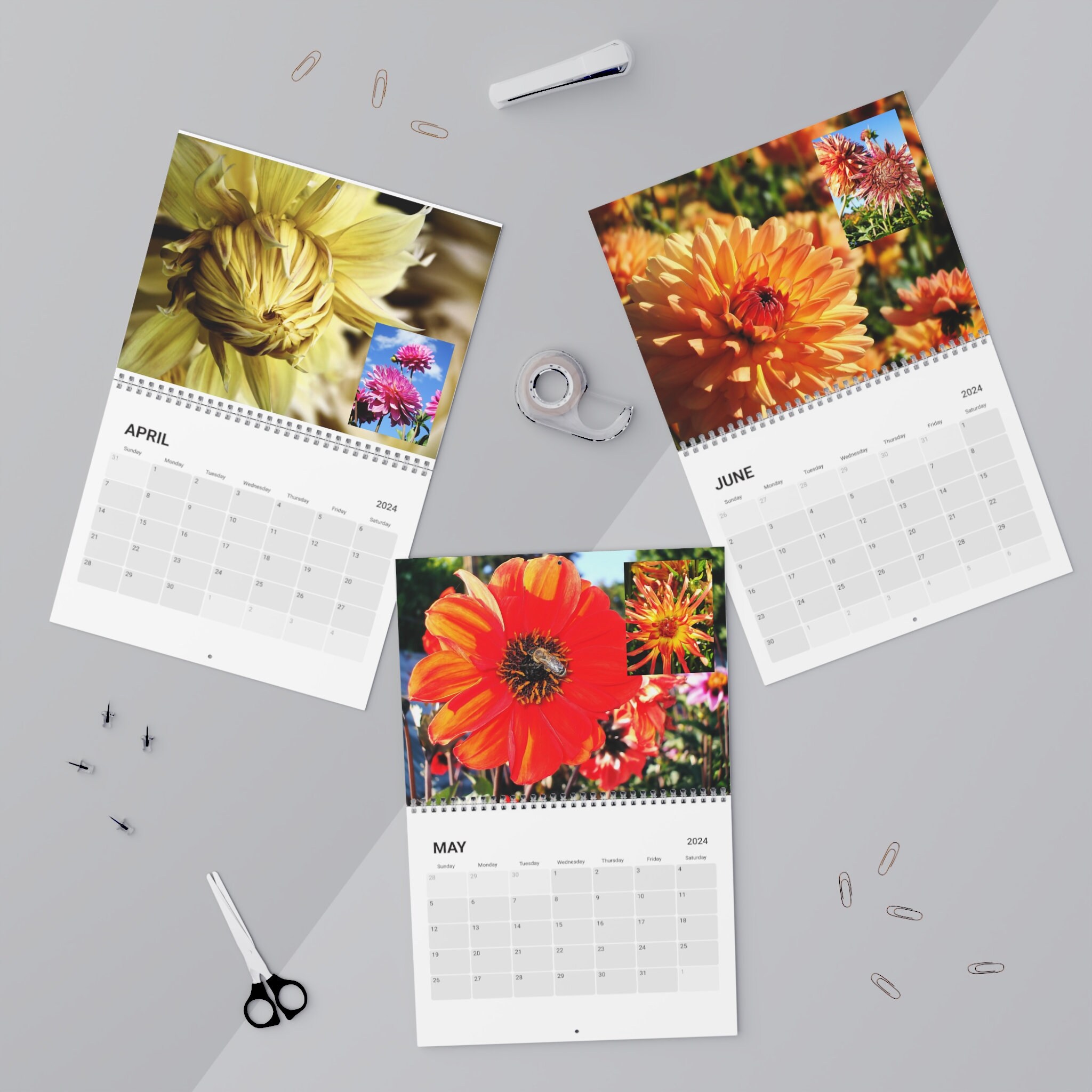 2024 Calendar "Dahlia Delights" sold by Jerrie Philistine | SKU ...