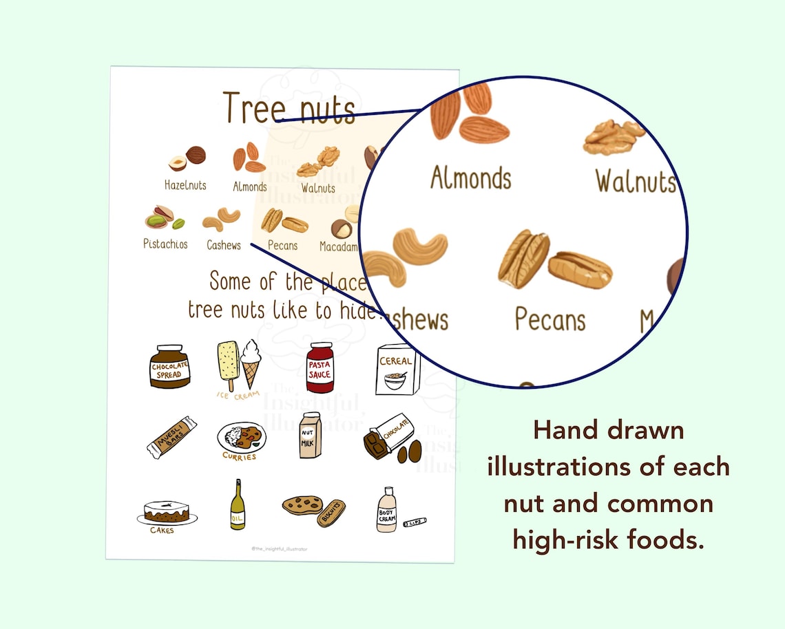 Tree Nut Allergy Warning Poster - Information Sheet - Teacher, School ...