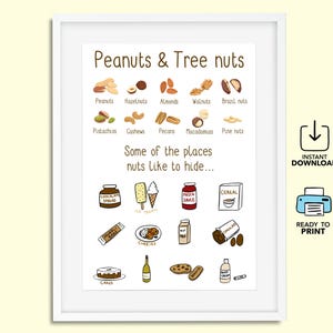 All Nuts Allergy Information Poster - Information Sheet - Teacher ...