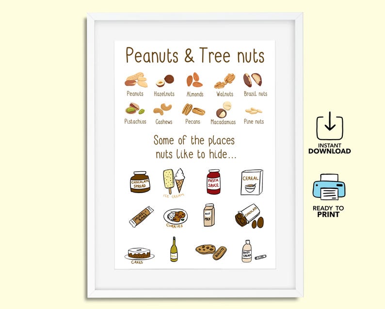 All Nuts Allergy Information Poster - Information Sheet - Teacher ...