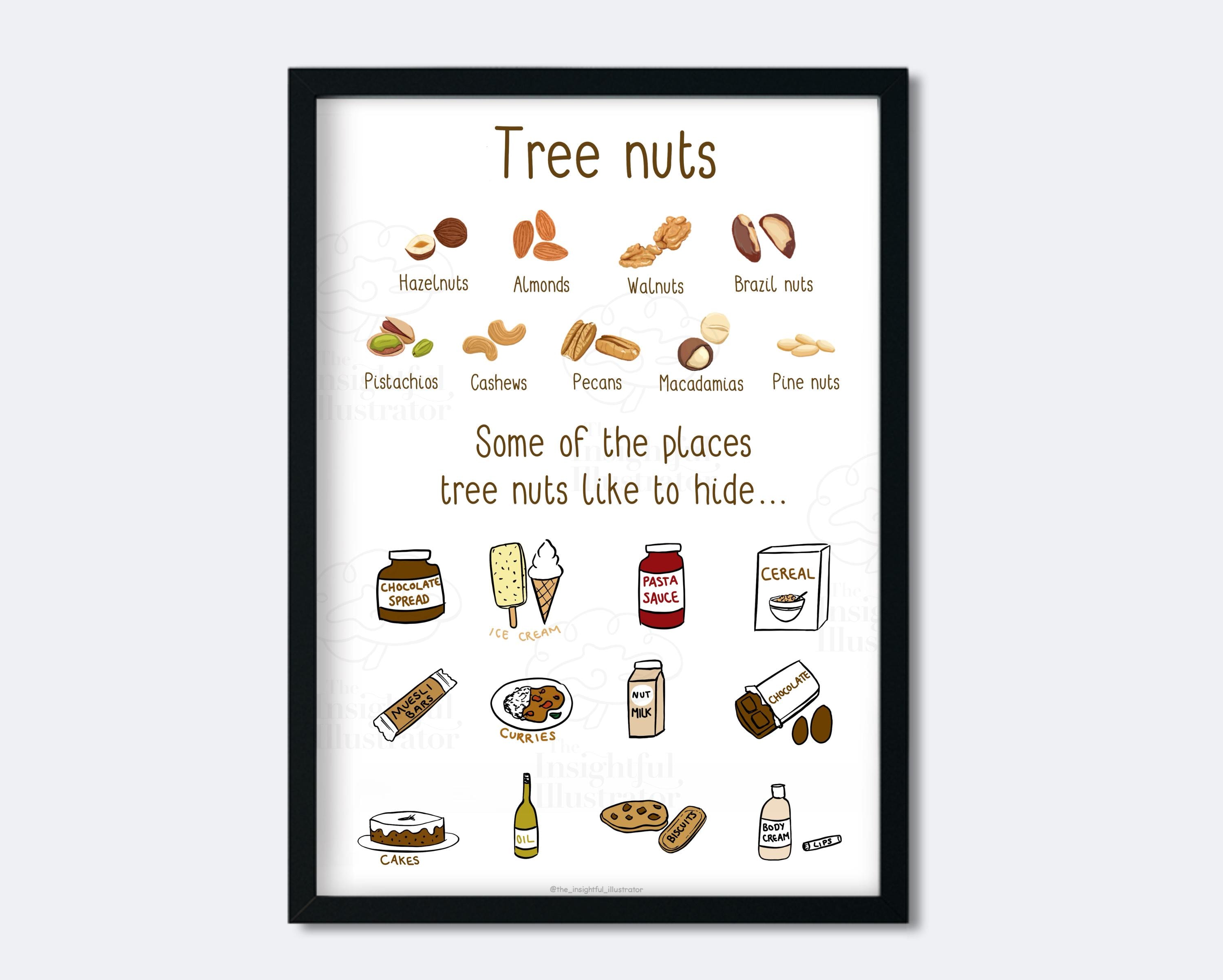 Tree Nut Allergy Warning Poster - Information Sheet - Teacher, School ...