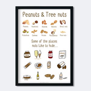All Nuts Allergy Information Poster - Information Sheet - Teacher ...