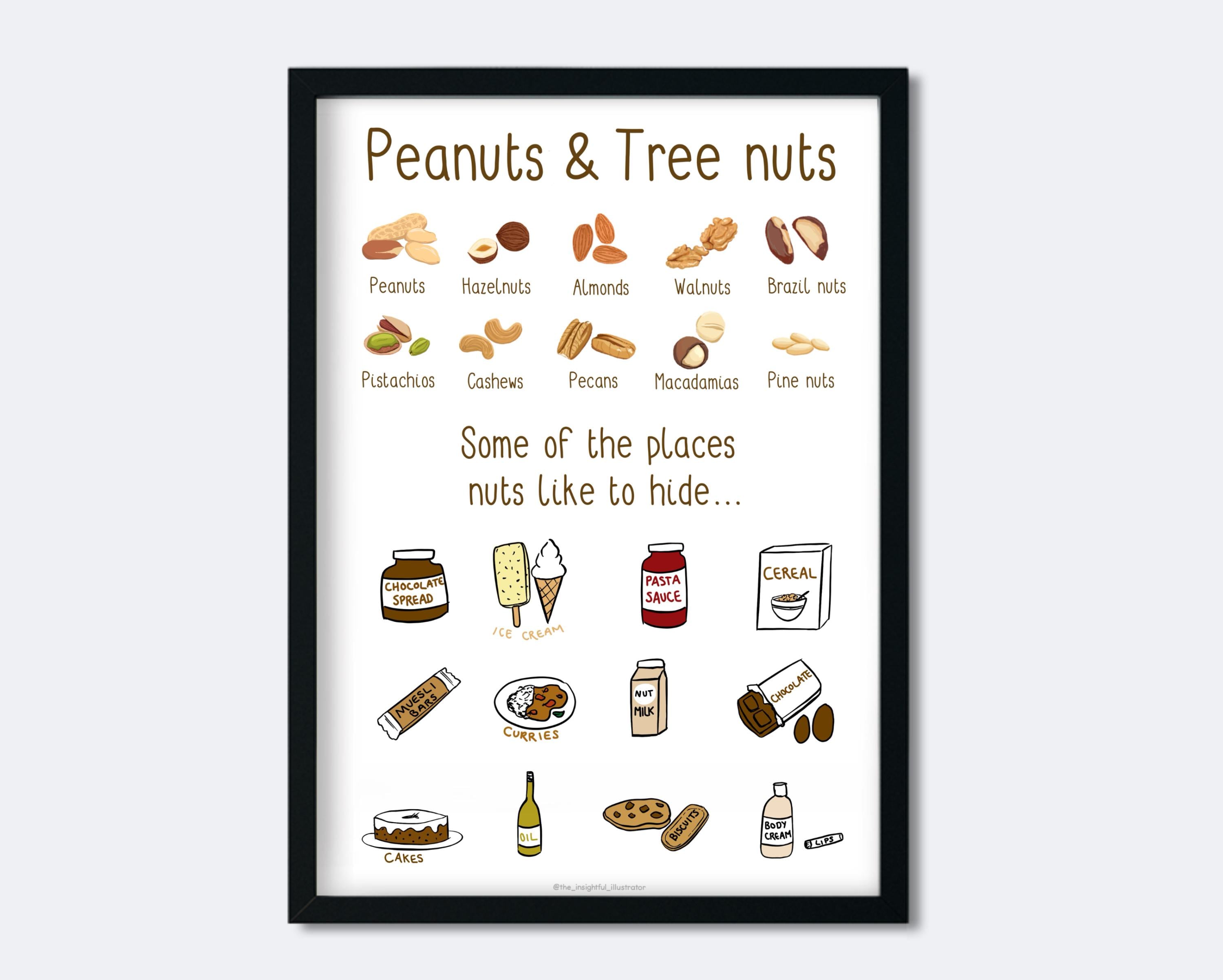 All Nuts Allergy Information Poster - Information Sheet - Teacher ...