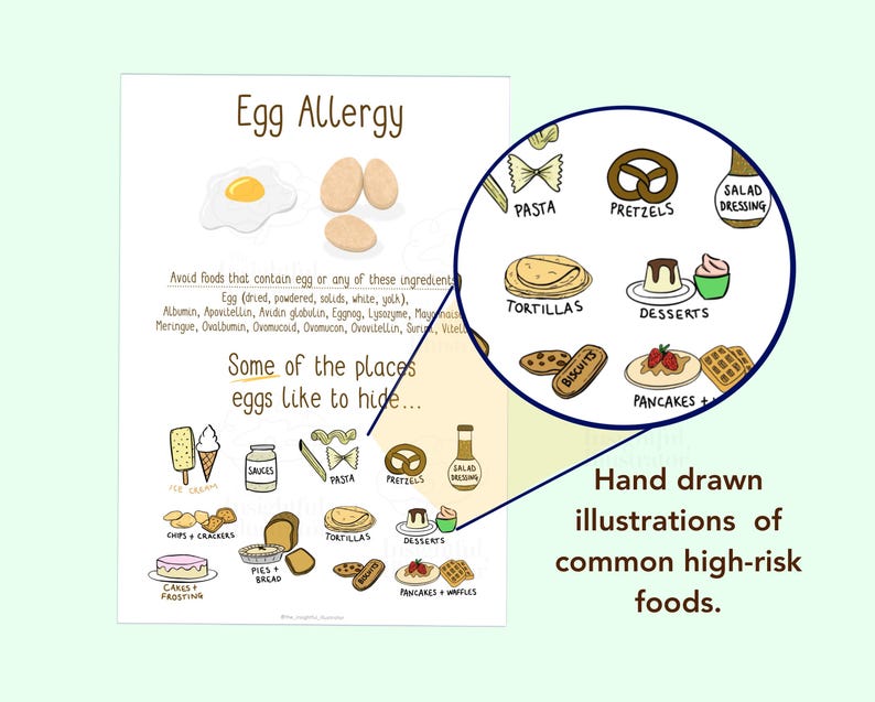 Egg Allergy Awareness Poster - Information Sheet for Schools and ...