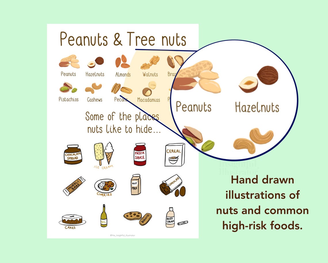 All Nuts Allergy Information Poster - Information Sheet - Teacher ...